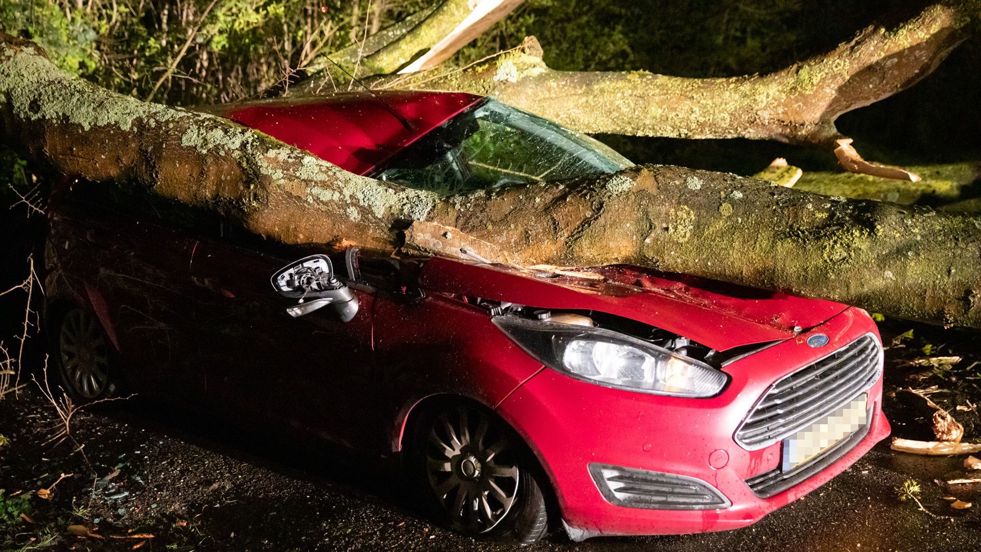 Boom komt door harde wind op geparkeerde auto terecht